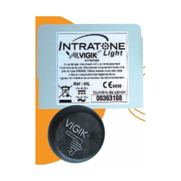 INTRATONE LIGHT Centrale pour gérer 1 porte Intratone - Domo Confort