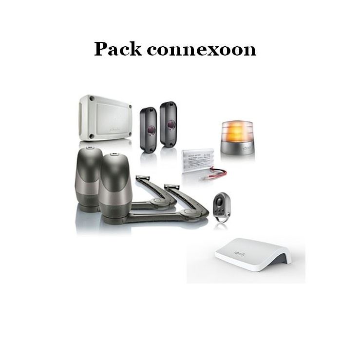 Kit de motorisation Axovia 220B 3S io + box domotique CONNEXOON - SOMFY ...
