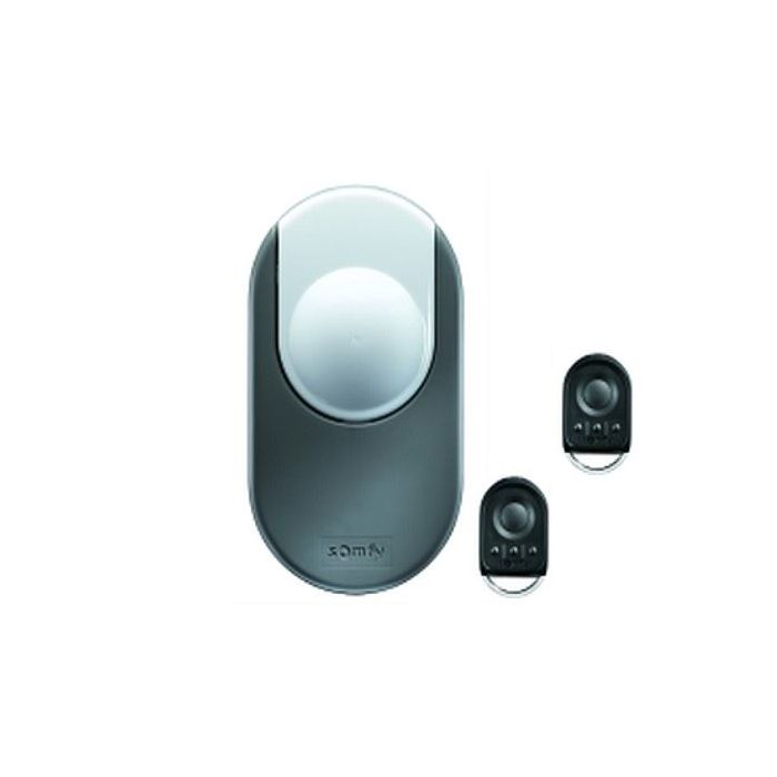 Moteur DEXXO PRO 1000 RTS + 2 Télécommandes Keygo RTS pour porte de ...